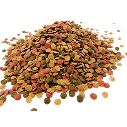 Mini Wafer Mix BOTTOM FEEDING TROPICAL FISH Cory Pleco Loach Algae ...