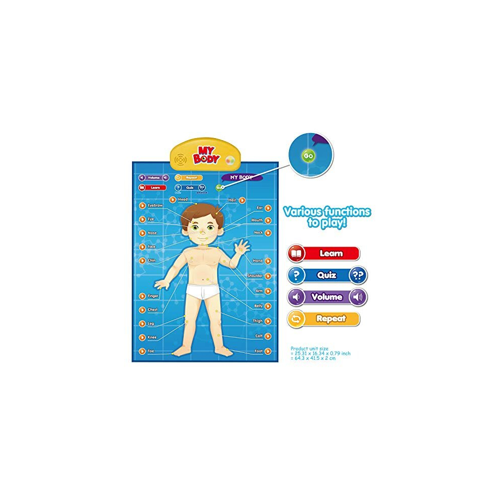 i-Poster My Body - Interactive Educational Human Anatomy Talking Game ...