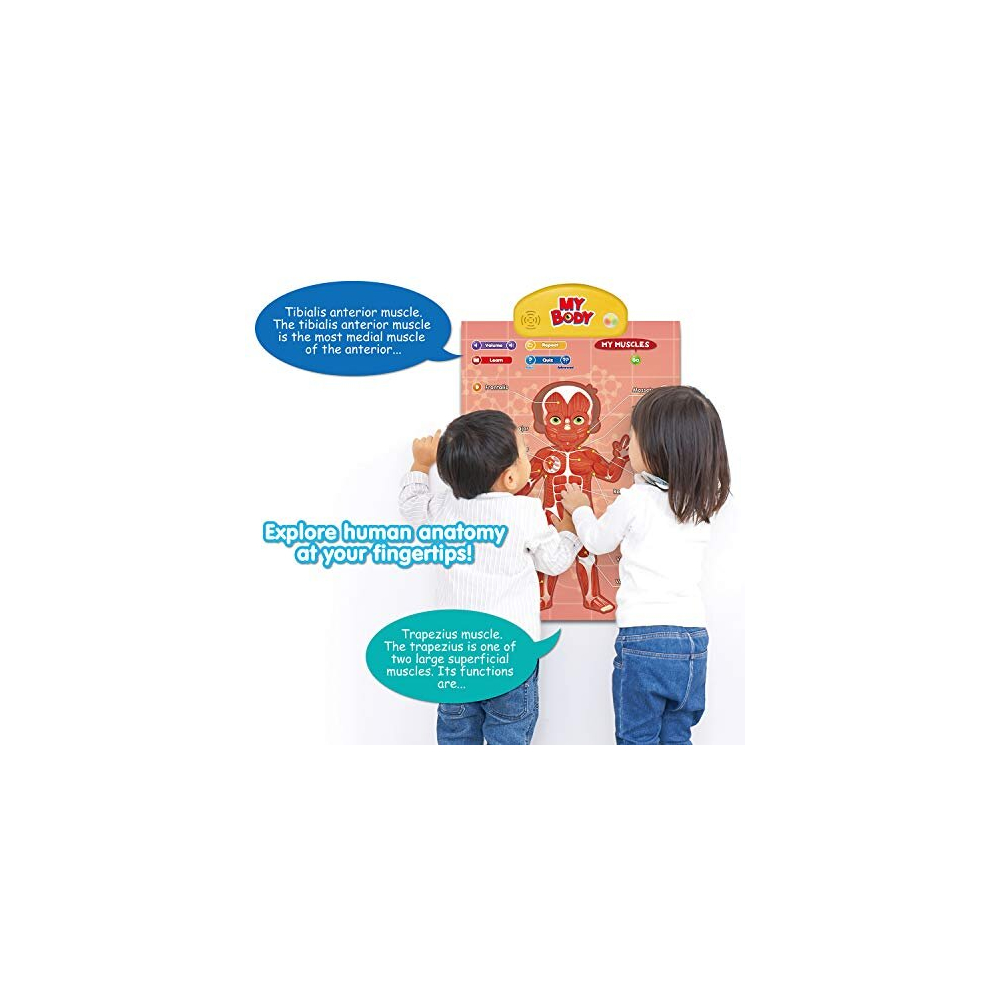 i-Poster My Body - Interactive Educational Human Anatomy Talking Game ...