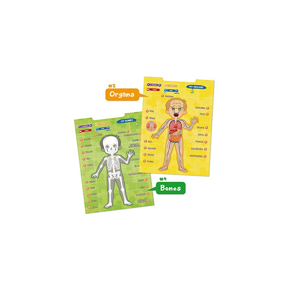 i-Poster My Body - Interactive Educational Human Anatomy Talking Game ...
