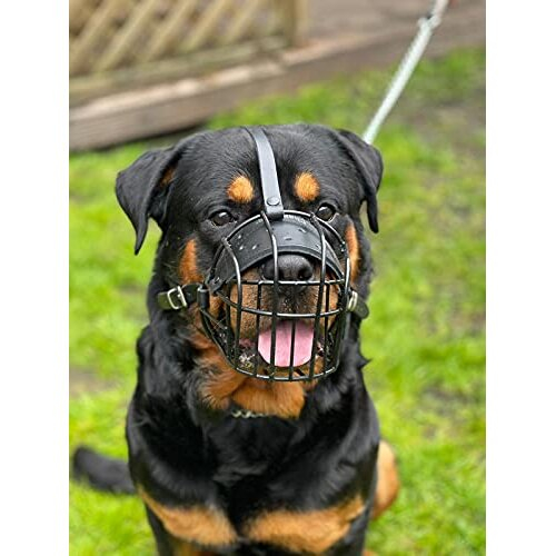 STRONG Wire Metal muzzle Basket Dog Muzzle Rottweiler,Mastiff Golden ...