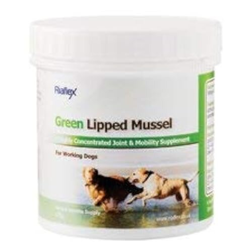 Green Lipped Mussel | Highly Concentrated Joint & Mobility Supplement ...