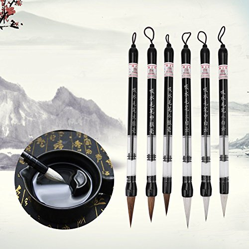 6pcs Water Brush Pen, Chinese Japanese Calligraphy Pen Piston Water ...