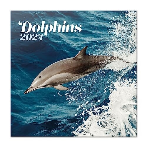 Dolphins Wall Calendar 2024 12" x 12" | 12 Month Planner | Square Wall ...