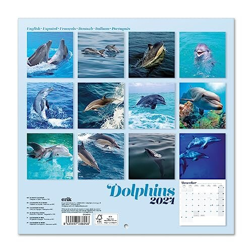 Dolphins Wall Calendar 2024 12" x 12" | 12 Month Planner | Square Wall ...