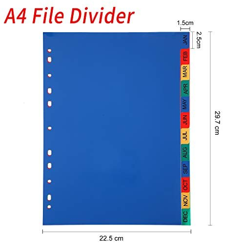 [10 Pack] Index A4 File Dividers 12 Part Jan-Dec, A4 Plastic Subject ...