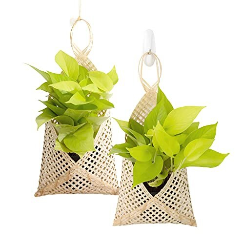 2 Pack small Natural Bamboo Woven Basket Weave Hanging Planters | Plant ...