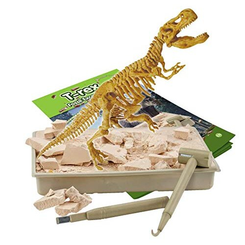 T Rex Fossil Hunting Kit for Kids - Excavate and assemble the 15 pieces ...