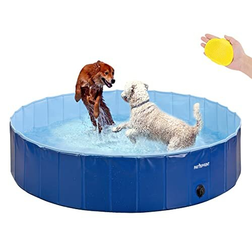 Pattepoint Dog Pool 160x30cm, Paddling Pool for Dogs, 2023 Upgraded ...