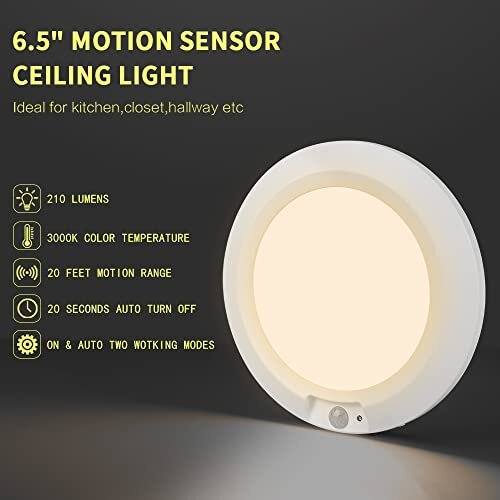 Motion Sensor Ceiling Light, Battery Powered Sensor Light Indoor, 6.5 ...