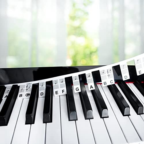 Piano Notes Guide for Beginner, Removable Piano Keyboard Note Labels ...