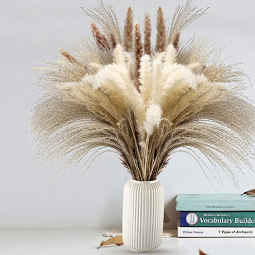 60Pcs Natural Pampas Grass Decor, 50cm Dried Pampas Grass Decor- 3 ...
