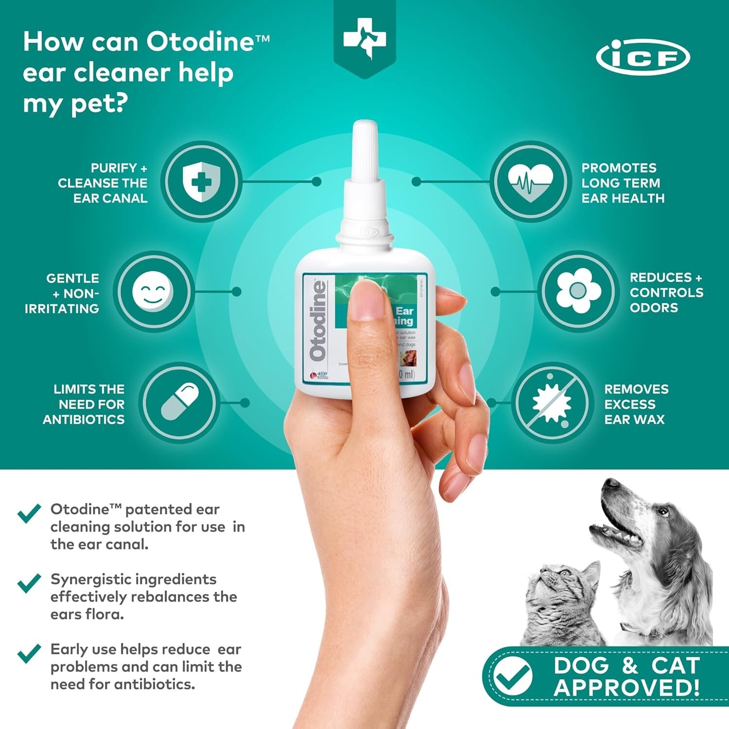 ICF Otodine Cat & Dog Ear Cleaner Solution Dog Ear Drops to Stop Wax ...