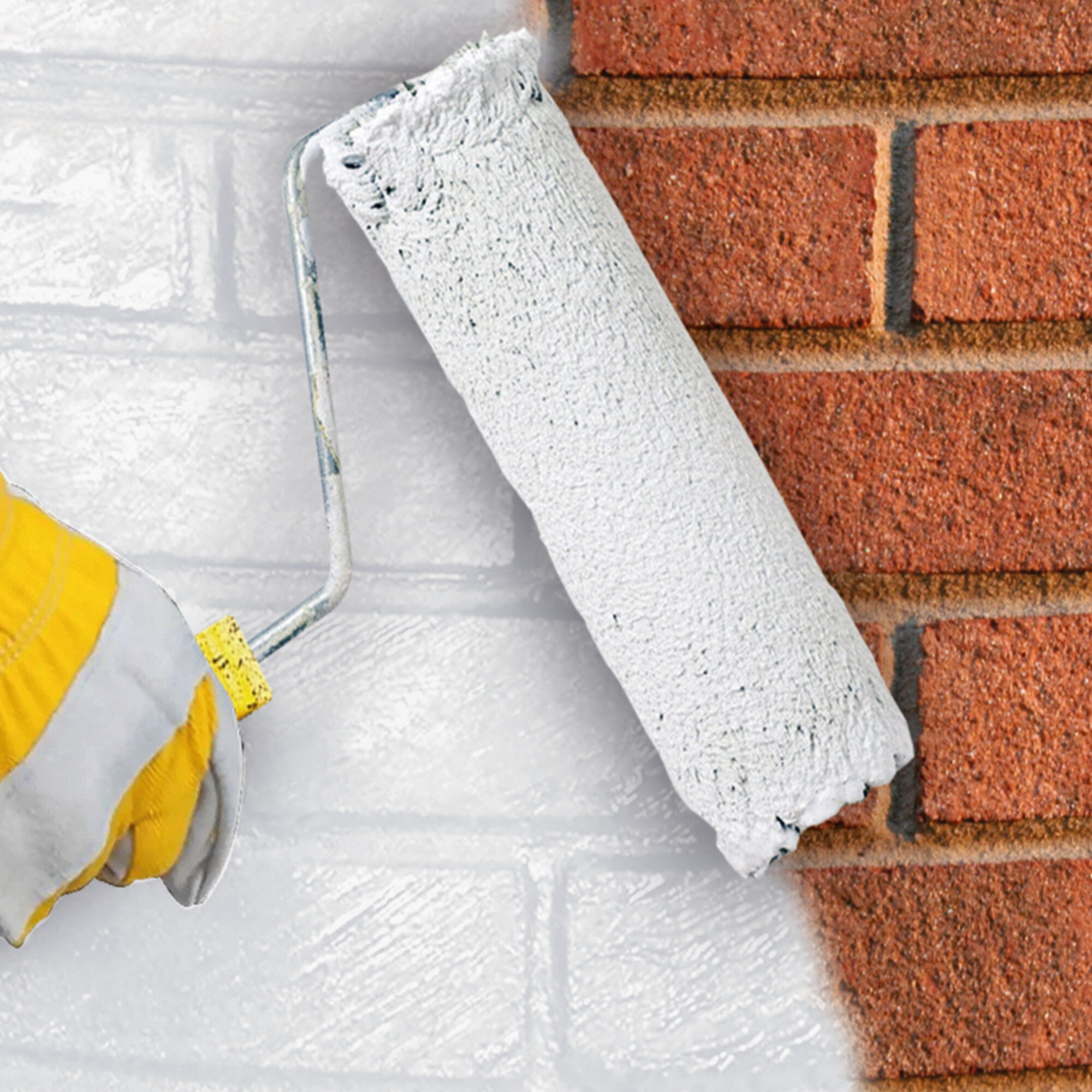 (White, 10 Litre) SmartSeal Damp Proof Paint - For Interior & Exterior ...