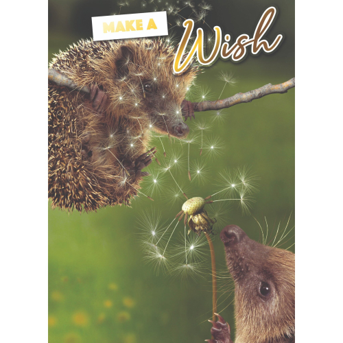 Make A Wish Photo Birthday Greeting Card Second Nature Yours Truly