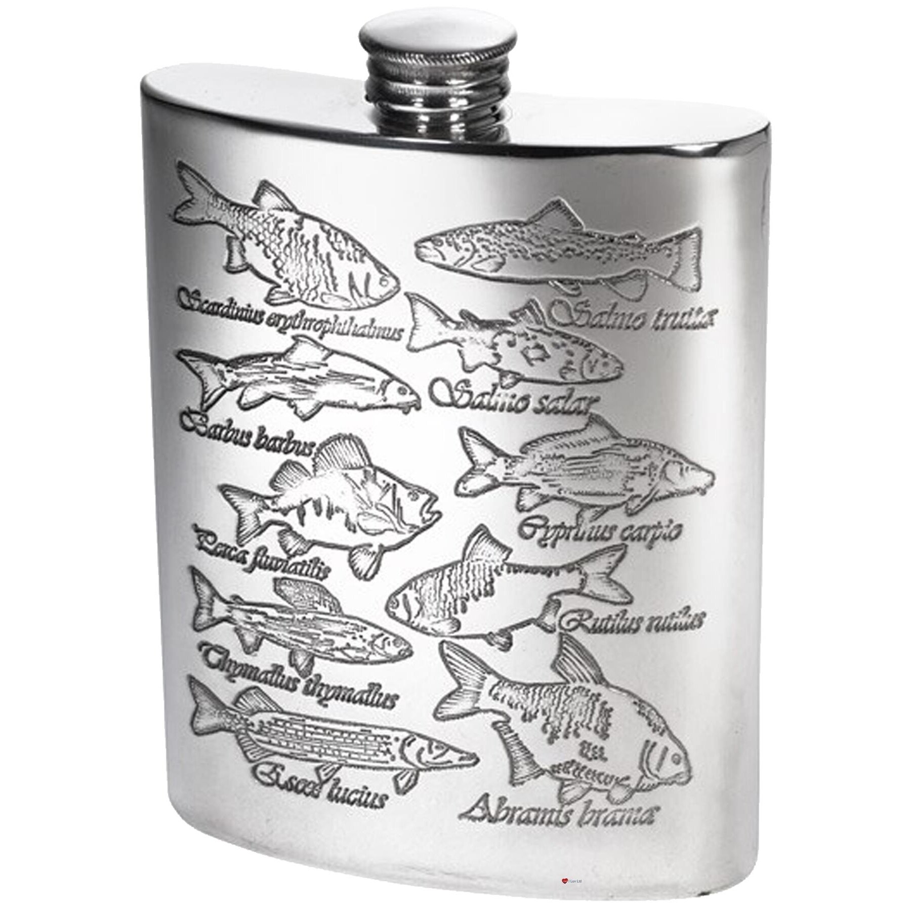 6oz Pewter Hip Flask Embossed with Different Types of Fish on Front of ...