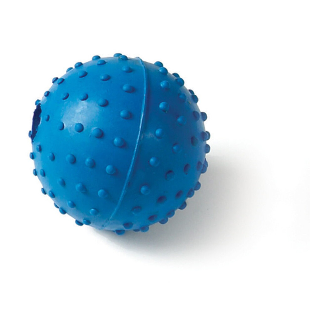 Classic Rubber Pimple Ball With Bell 60mm on OnBuy