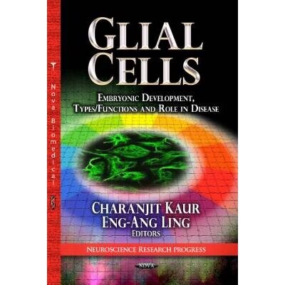 GLIAL CELLS Embryonic Development, Types Functions Role in Disease ...