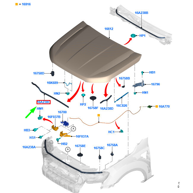 FORD RANGER T6 MK1 Front Hood Weatherstrip 1880845 EB3B-16C824-AA NEW ...