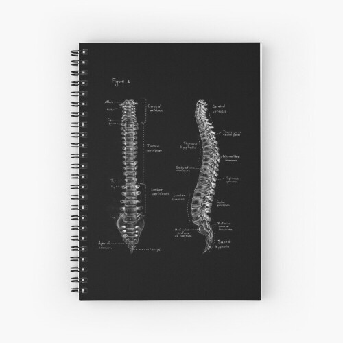 Spiral Notebook Spine anatomy on chalkboard black and white A5 120 ...