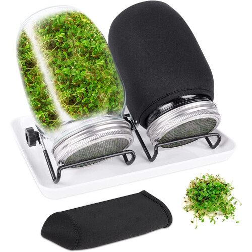 Seed Sprouting Jar Kit with 2 Wide Mouth Mason Jars Bean Sprouts ...