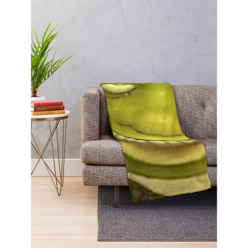 Fleece Throw Blanket shrek meme for Sofa Couch Kids 60 x 50 Inches on OnBuy