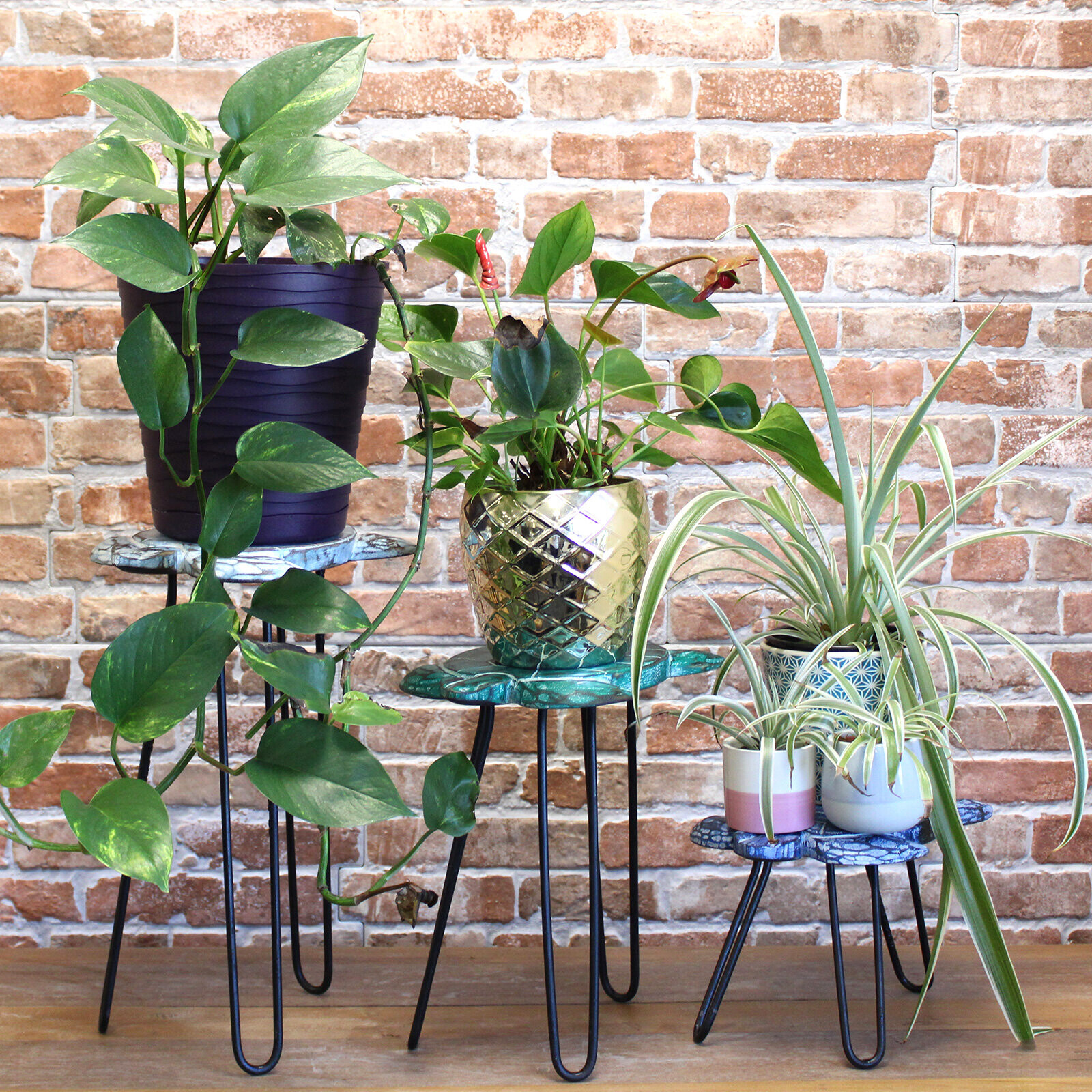 Set of 3 Albasia Wood Plant Stands - Turtles on OnBuy