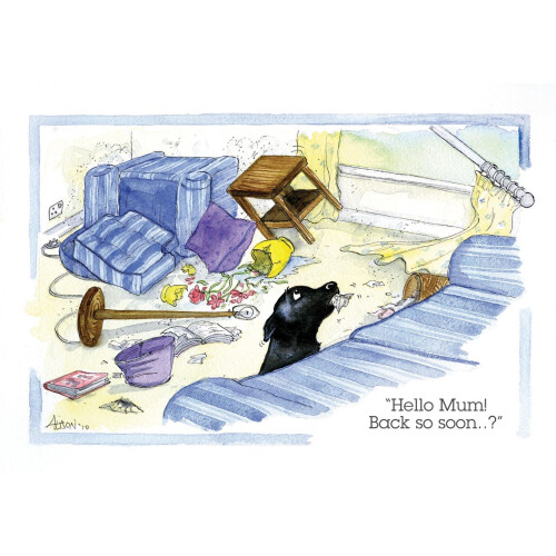 Hello Mum Back So Soon Naughty Dog Alison's Animals Cartoon Greeting ...