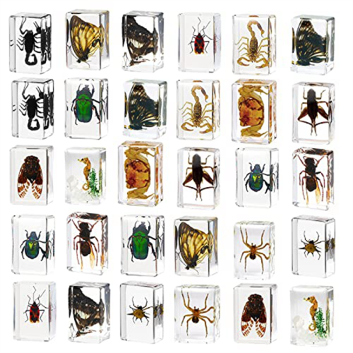 30 Insects in Resin Collection Paperweights, Toy Bugs for Kids on OnBuy