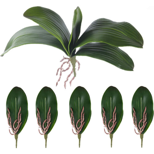 6 Pack Phalaenopsis Orchids Leaves Artificial Real Looking Roots Touch ...