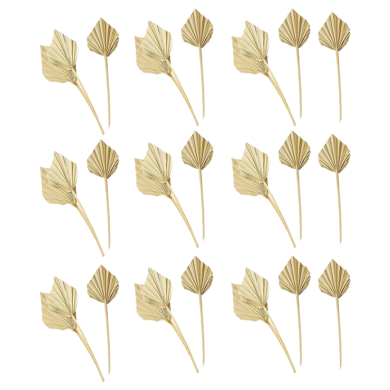 30 Pcs Boho Dried Palm Spears Natural Dried Palm Fans Dried Palm Leaves Dried Palm Leaf Palm Fan ...