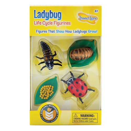 Insect Lore Ladybug Life Cycle - 4 PC Insect Figure Shows Life Of Lady Bug on OnBuy