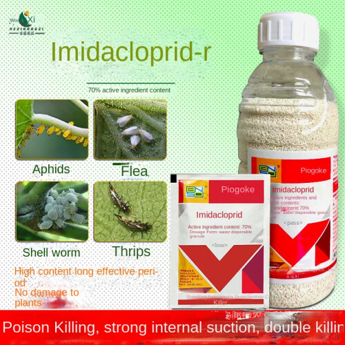 Imidacloprid insecticide small white drug succulent rose fruit tree ...