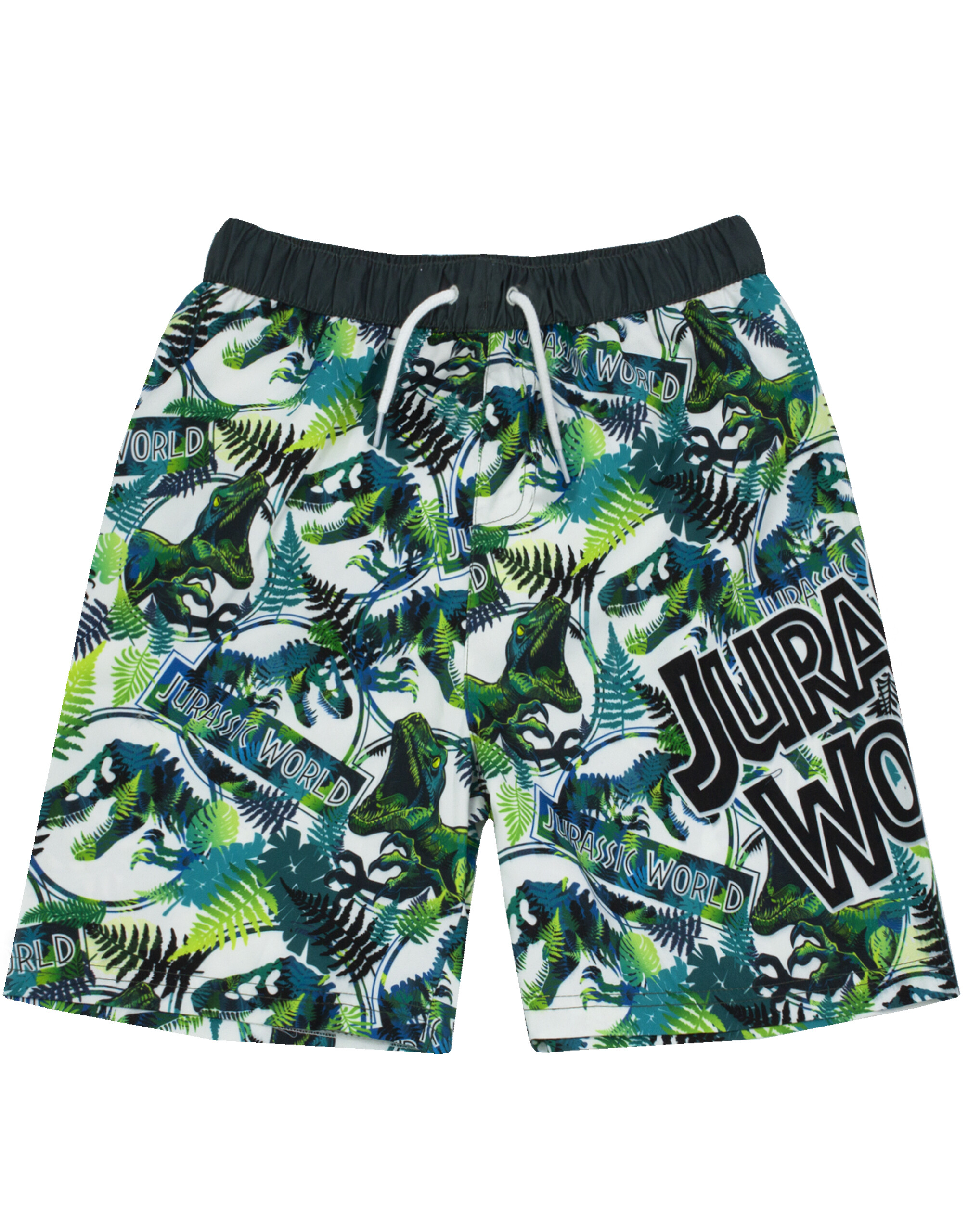 (6-7 Years) Jurassic World Swim Shorts For Boys | Kids Tyrannosaurus T ...
