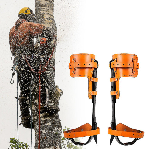 Adjusted Tree Climbing Spikes Stainless Steel Tree Climbing Gear Tree ...
