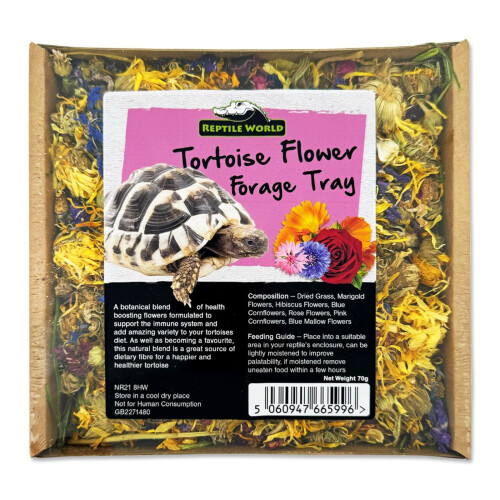 Forage Tray, 100% Natural botanical enrichment for Tortoises | Healthy ...