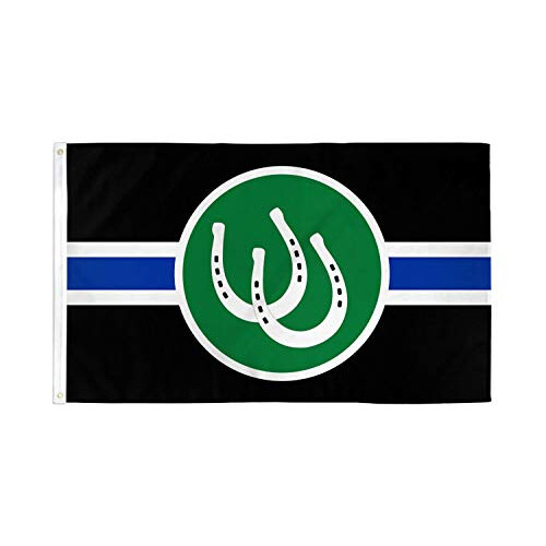 - Pony Play Pride Flag - 3x5 Ft - 100D Polyester LGBT ponyplay Banner ...