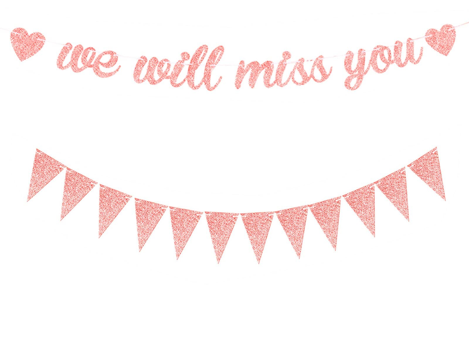 We Will Miss You Banner Rose Gold Glitter Triangle Flag Banner Bunting ...