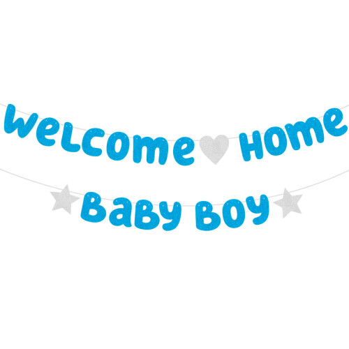 Elicola Welcome home baby boy Bunting Glitter Banner, Baby Shower ...