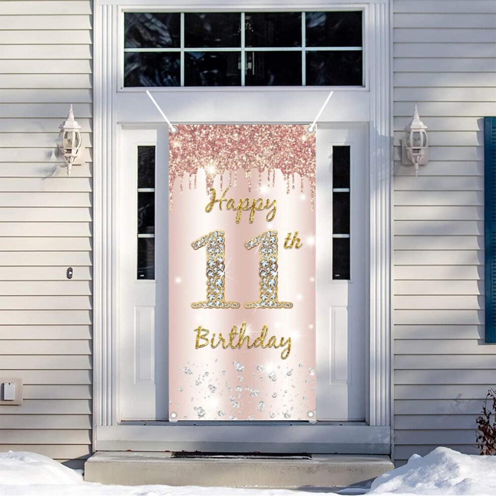 11th Birthday Decoration for Girls, Happy 11th Birthday Backdrop Banner ...