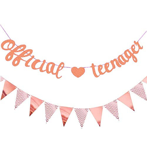 13th Birthday Banner for Girl Official Teenager Birthday Party Bunting ...