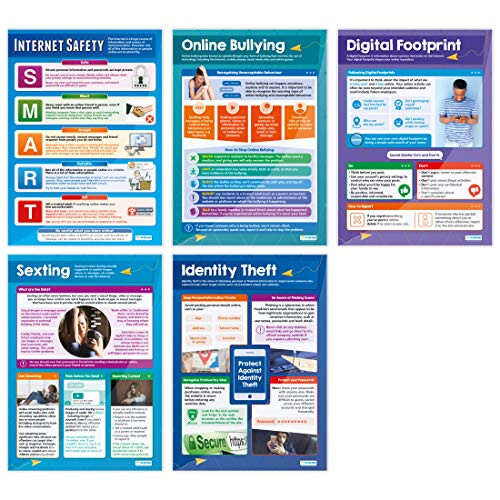 Digital Safety (Secondary) Posters - Set of 5 | Online Safety School ...