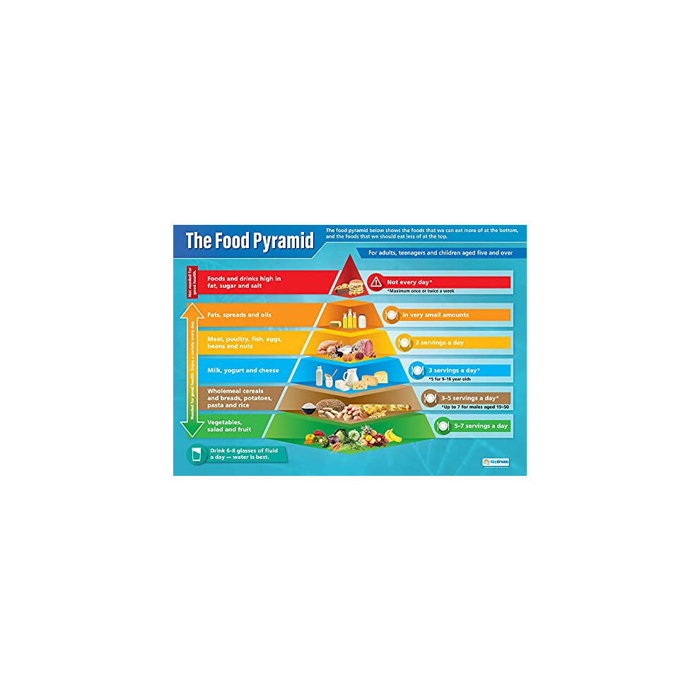 Food Pyramid | Science Posters | Laminated Gloss Paper measuring 850mm ...