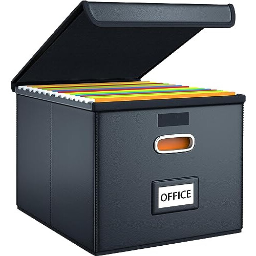 Finew Upgraded Portable File Boxes, Leather File Boxes with Plastic ...