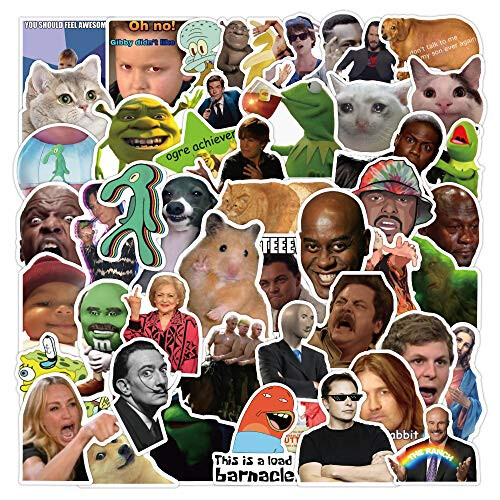 100pcs Funny Meme Vinyl Stickers Pack,DIY Decor for Bumper Wall Laptop ...