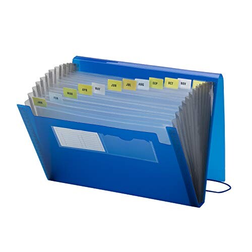 Poly Expanding File, 12 Pockets, Flap and Cord Closure, Letter Size ...