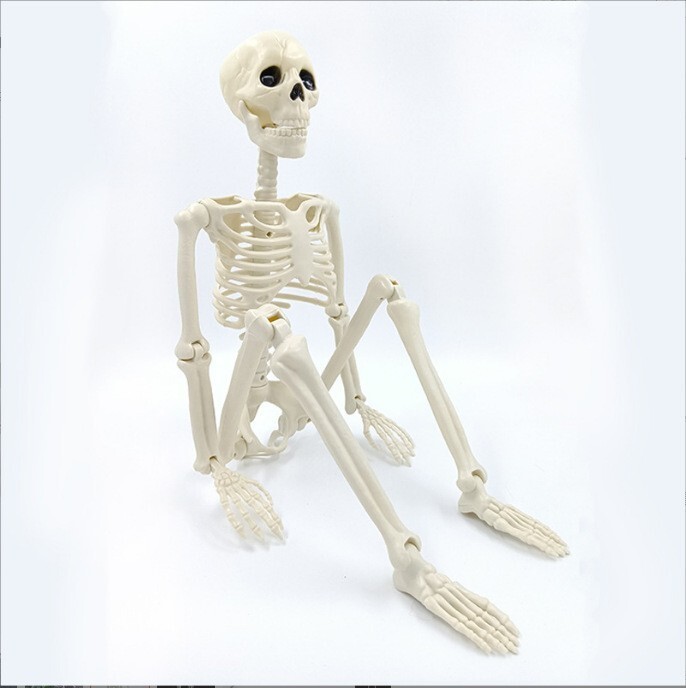 (90 human skull skeleton, 90*26*10) Halloween Skeleton Skeleton 90cm ...