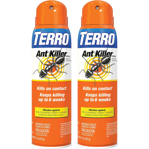 TERRO T401SR Indoor and Outdoor Ant Killer Aerosol Spray - Kills Ants ...