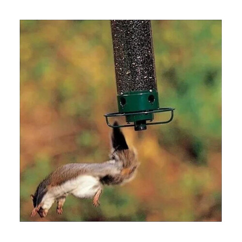 Droll Yankees YF-M Yankee Flipper Squirrel-Proof Wild Bird Feeder with ...
