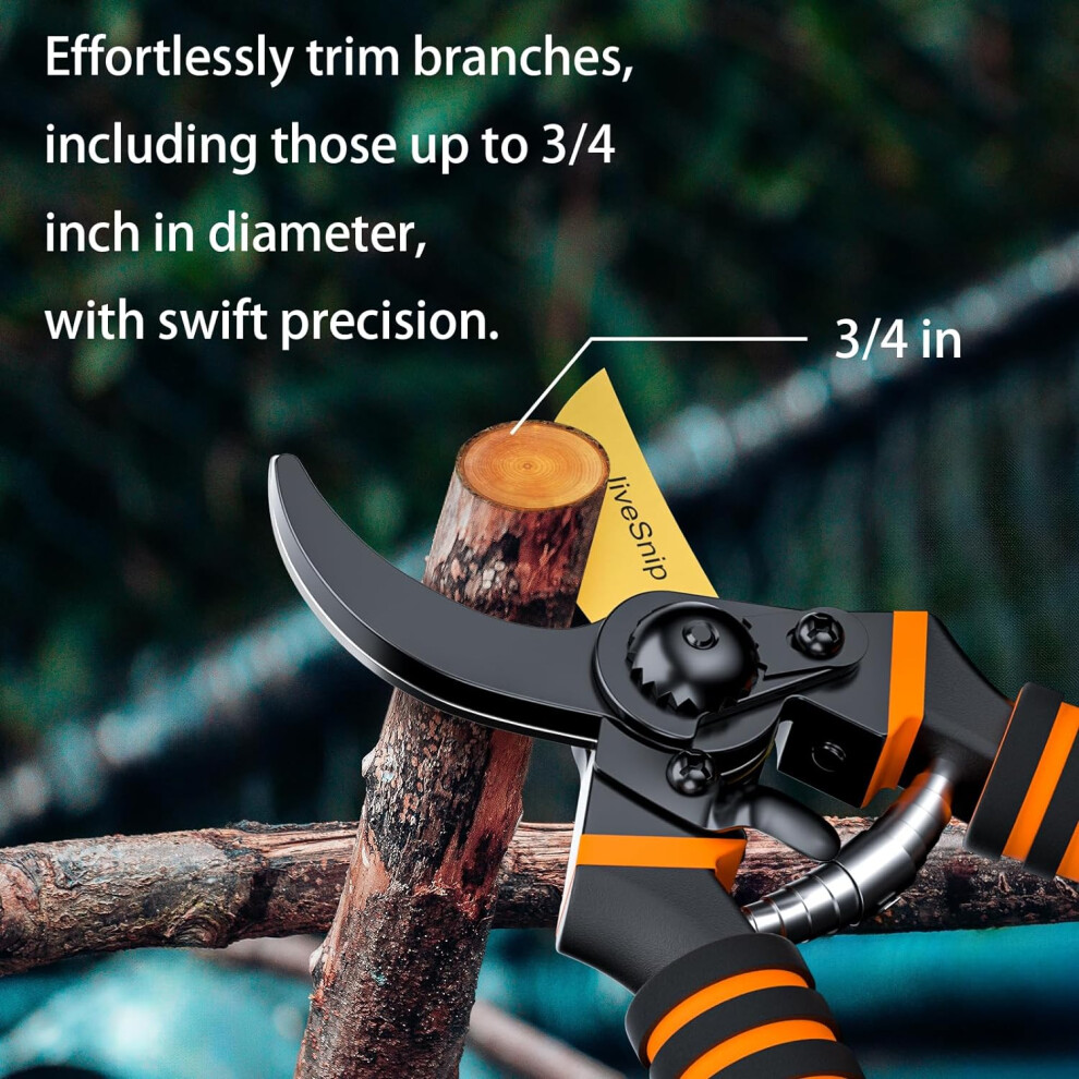 Titanium pruning shears store
